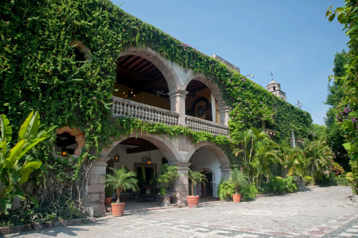 Mundo Imayina: un lugar donde la magia se hace realidad – Vibrante MORELOS